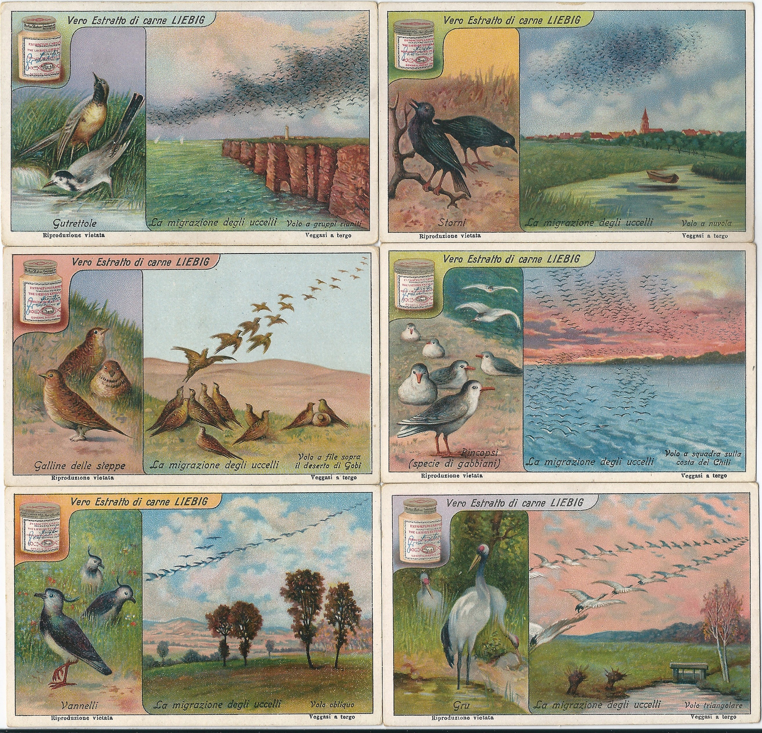 S 1122 / Liebig / La Migrazione Degli Uccelli  (Ita) Mf40323