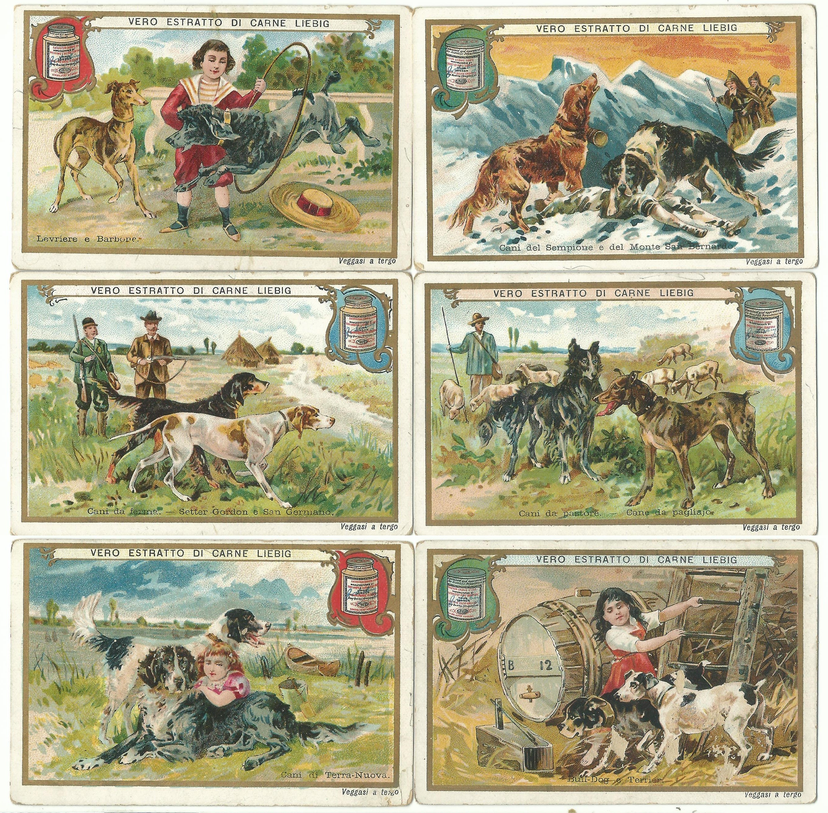 S 0615 / Liebig / Cani 1 (Ita) 615 Mf43838