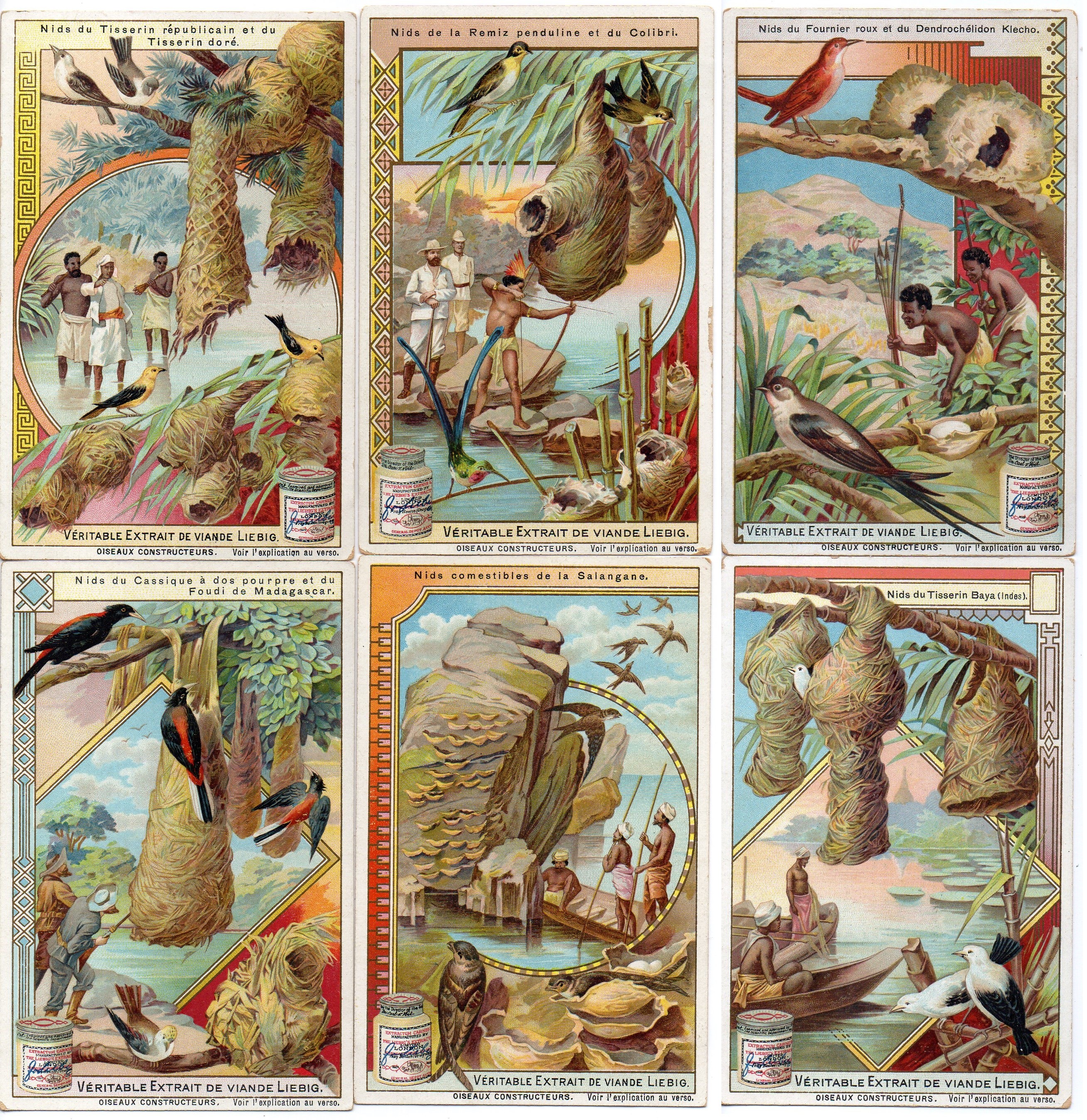 S 0798 / LIEBIG / UCELLI COSTRUTTORI - Oiseaux Constructeurs (BEL) MF46309